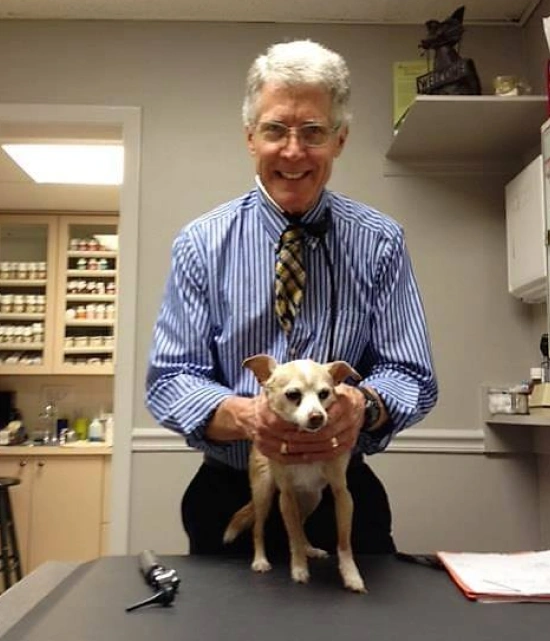 Meet Dr. Patrick Hafner | Animal Hospital of Dunedin